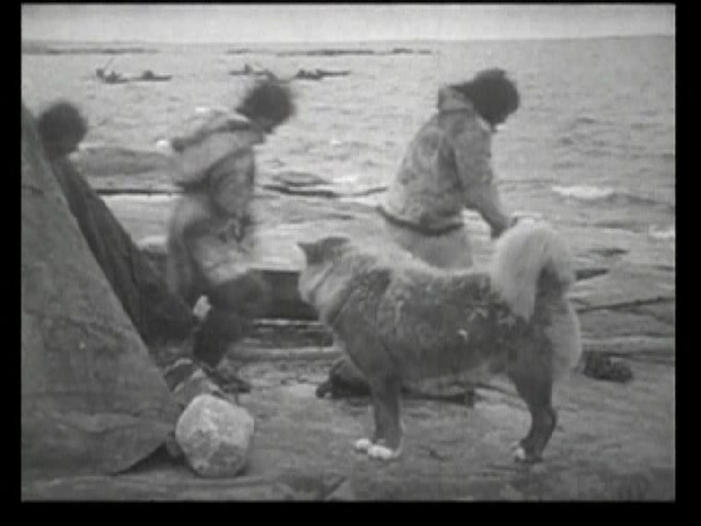 SPACETREK66 - DVD NANOOK O ESQUIMO